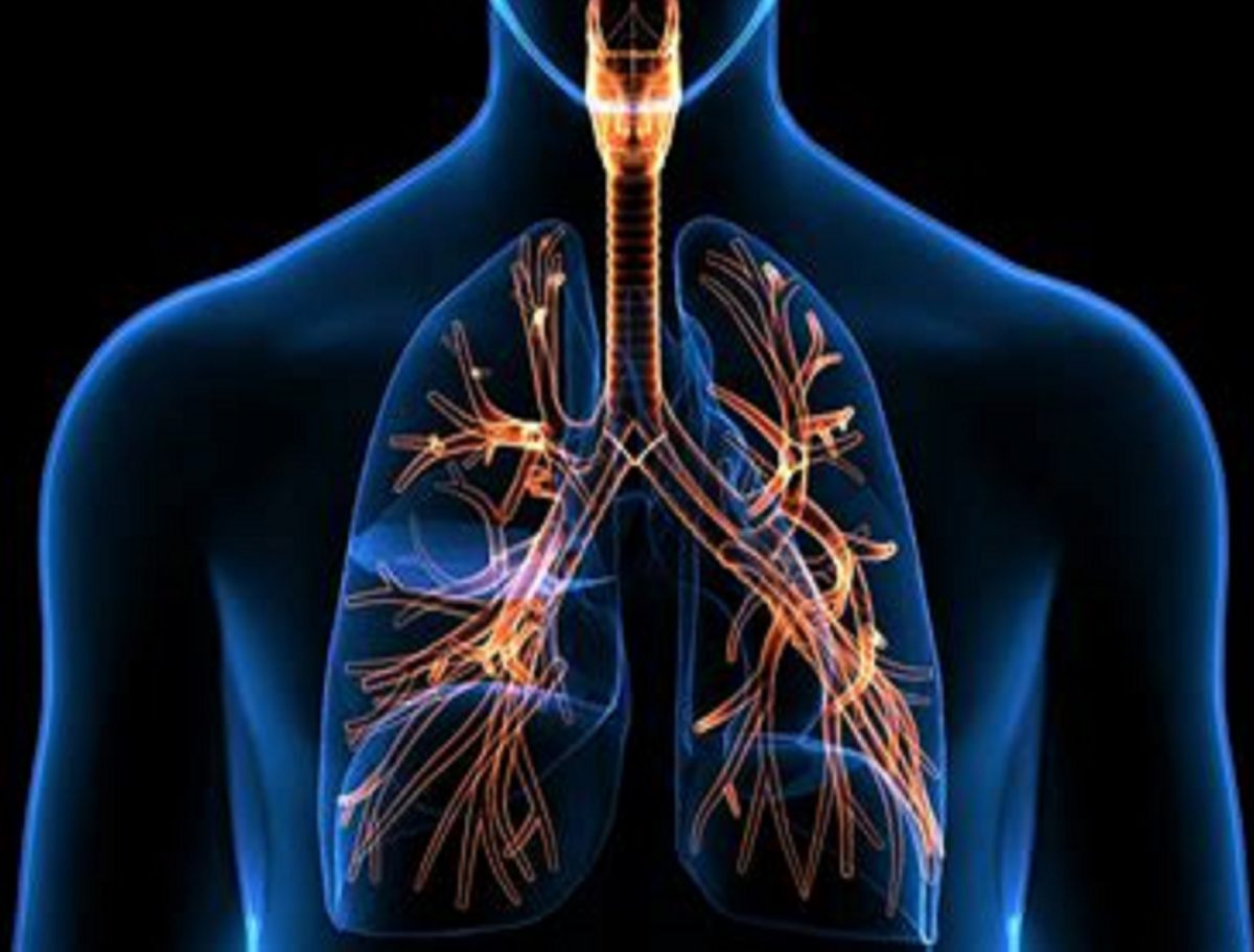 Fiche animation respiration - Science Events